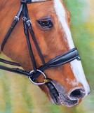 Virginie TRABAUD | Chevaux Cheval Ane Jument | Peinture Acrylique en ...